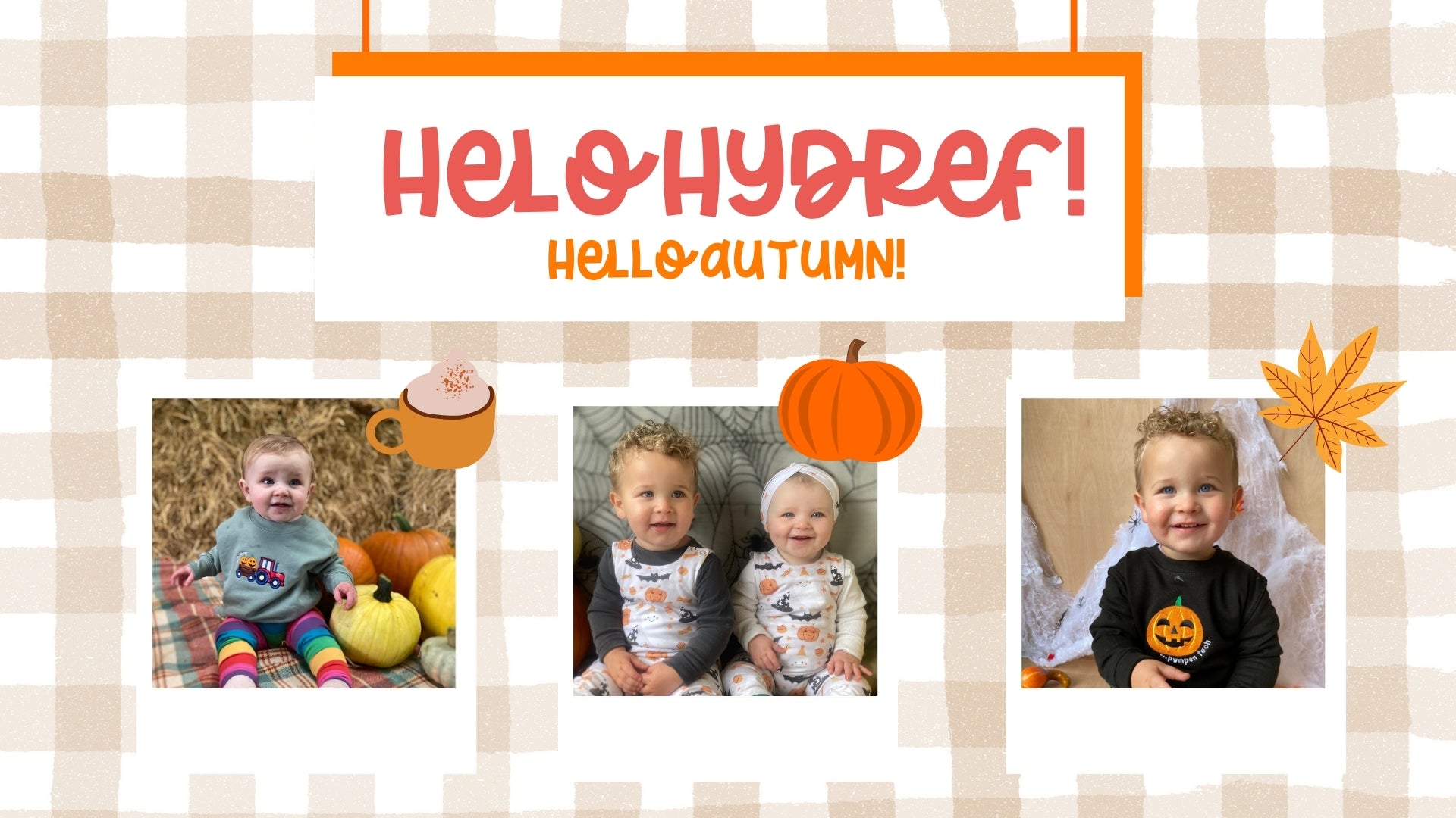 ani-bendod | online store | Welsh clothing, gifts and stationery brand